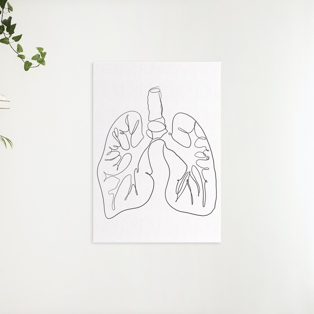Anatomy Line Art Lungs Printable, Digital Print Medical Wall Decor - Etsy