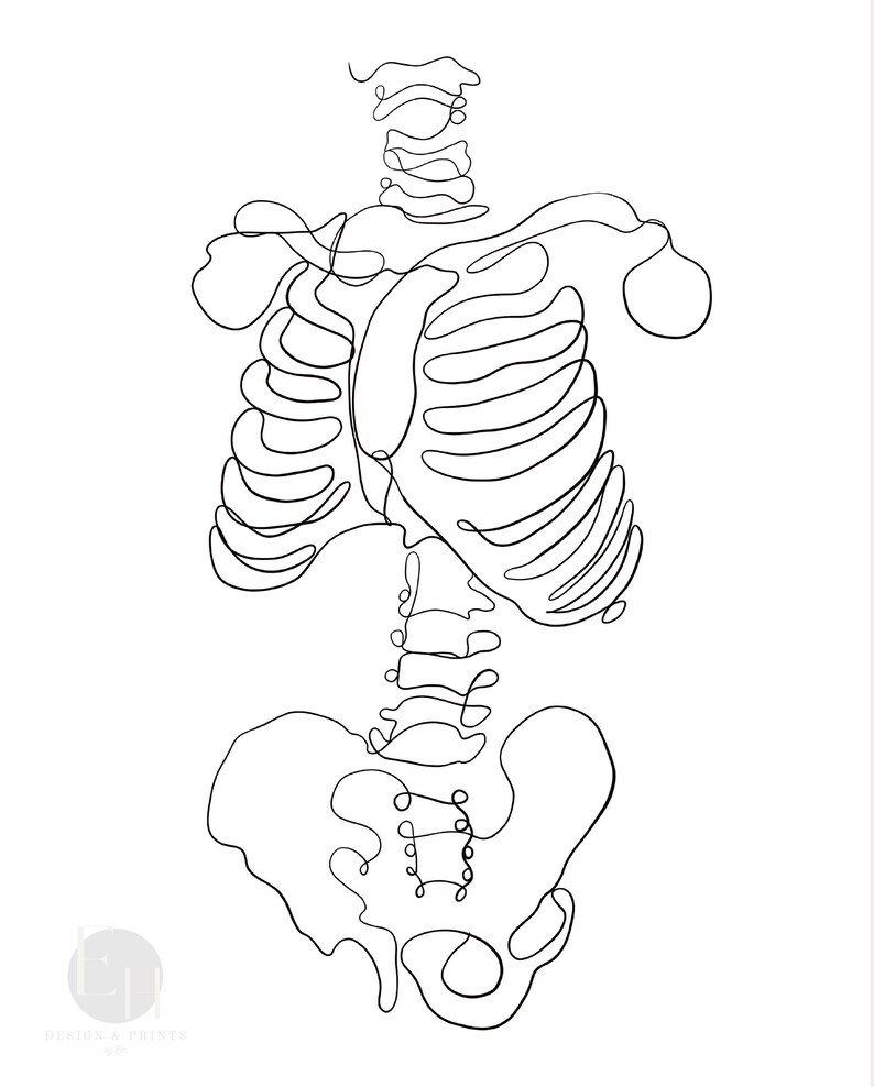 Anatomy Line Art Thorax, Digital Print, Printable Medical Wall Decor - Etsy