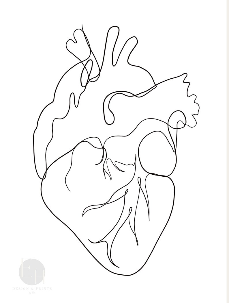 Line Heart Digital Art, Printable Medical Anatomy Art, Anatomy Wall ...