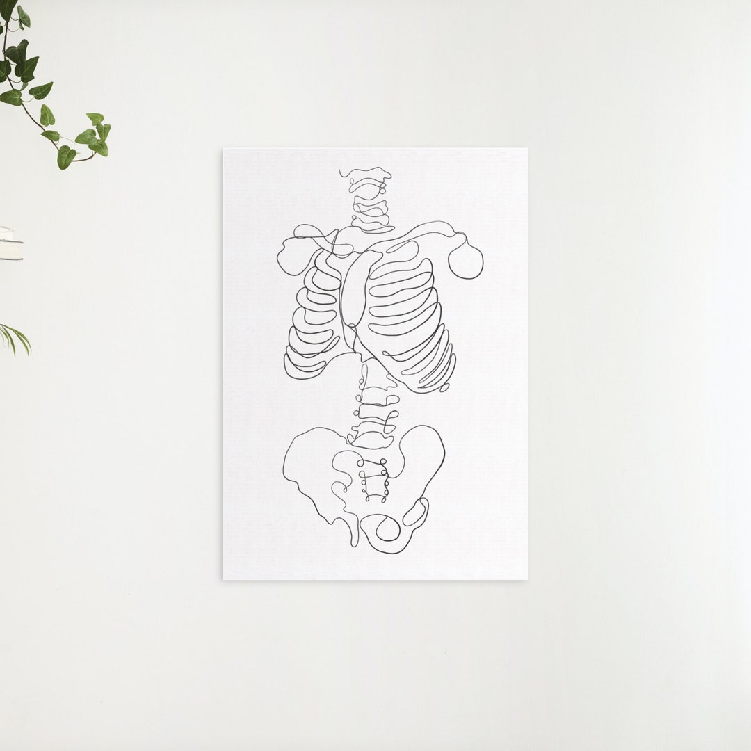 Anatomy Line Art Thorax, Digital Print, Printable Medical Wall Decor - Etsy