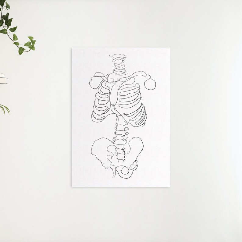 Anatomy Line Art Thorax, Digital Print, Printable Medical Wall Decor - Etsy