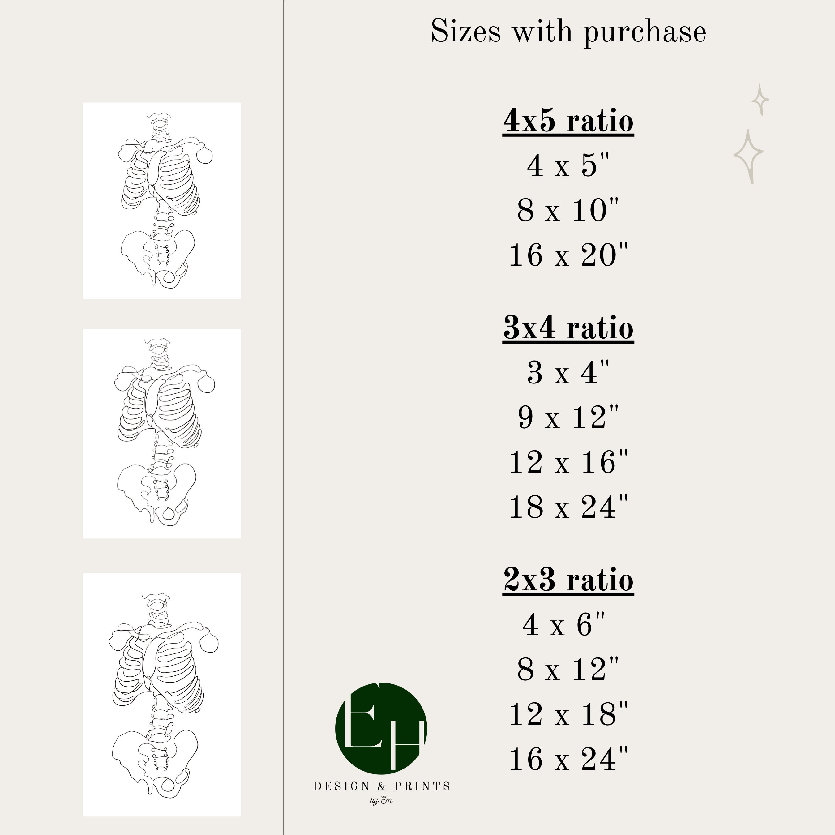 Anatomy Line Art Thorax, Digital Print, Printable Medical Wall Decor - Etsy