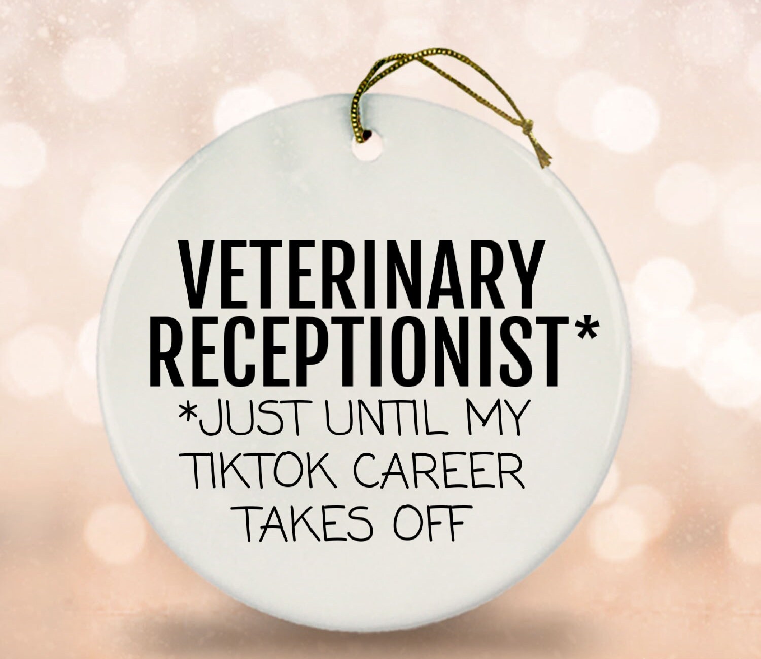 Veterinary Receptionist Ceramic Ornament, Vet Receptionist Keepsake ...