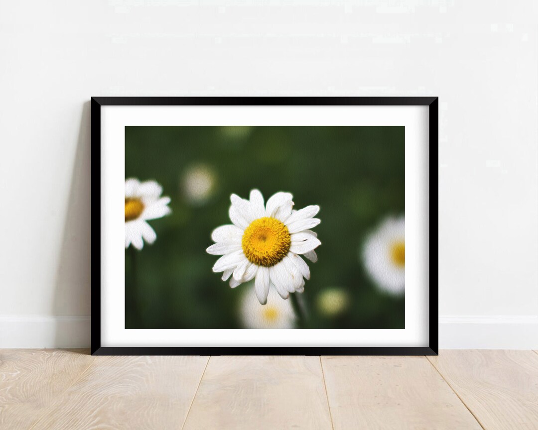 Lazy Daisy (photography Oil Paint Impression) - Etsy