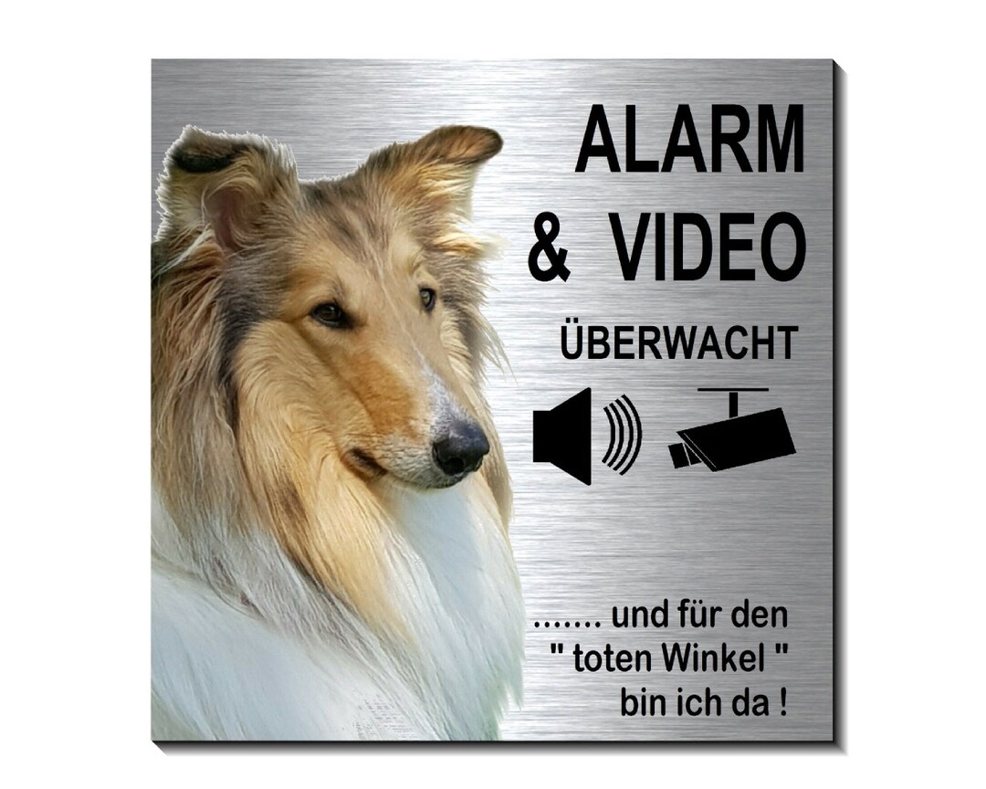 Collie Alarm + Video, Monitored Aluminum Dibond Shield Stainless Steel ...