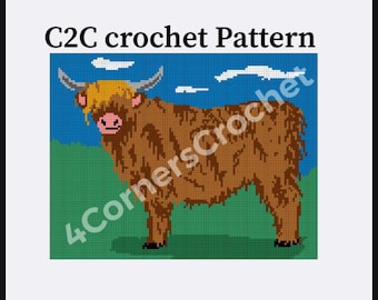 C2C Penguin Crochet Pattern / C2C Graphgan Pattern / C2C Crochet ...