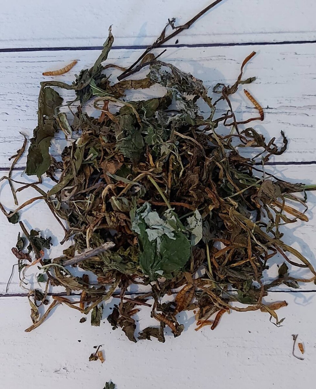 50g Hamster Forage - Hamster Leaf and Mealworm Forage - Mealworms for ...