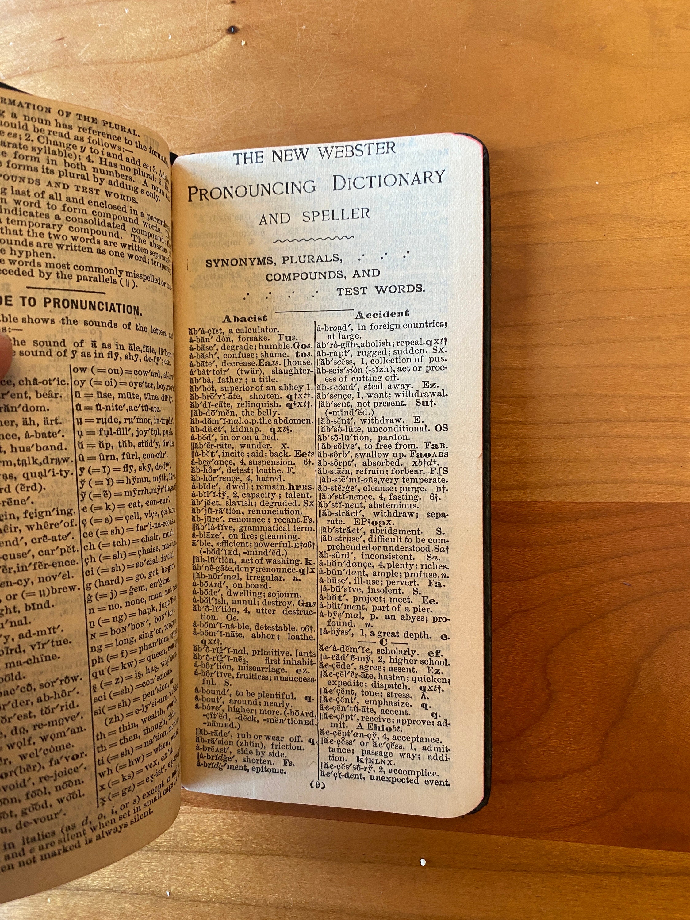 Webster's Vest Pocket Standard Dictionary 1922 Antique Books Library ...