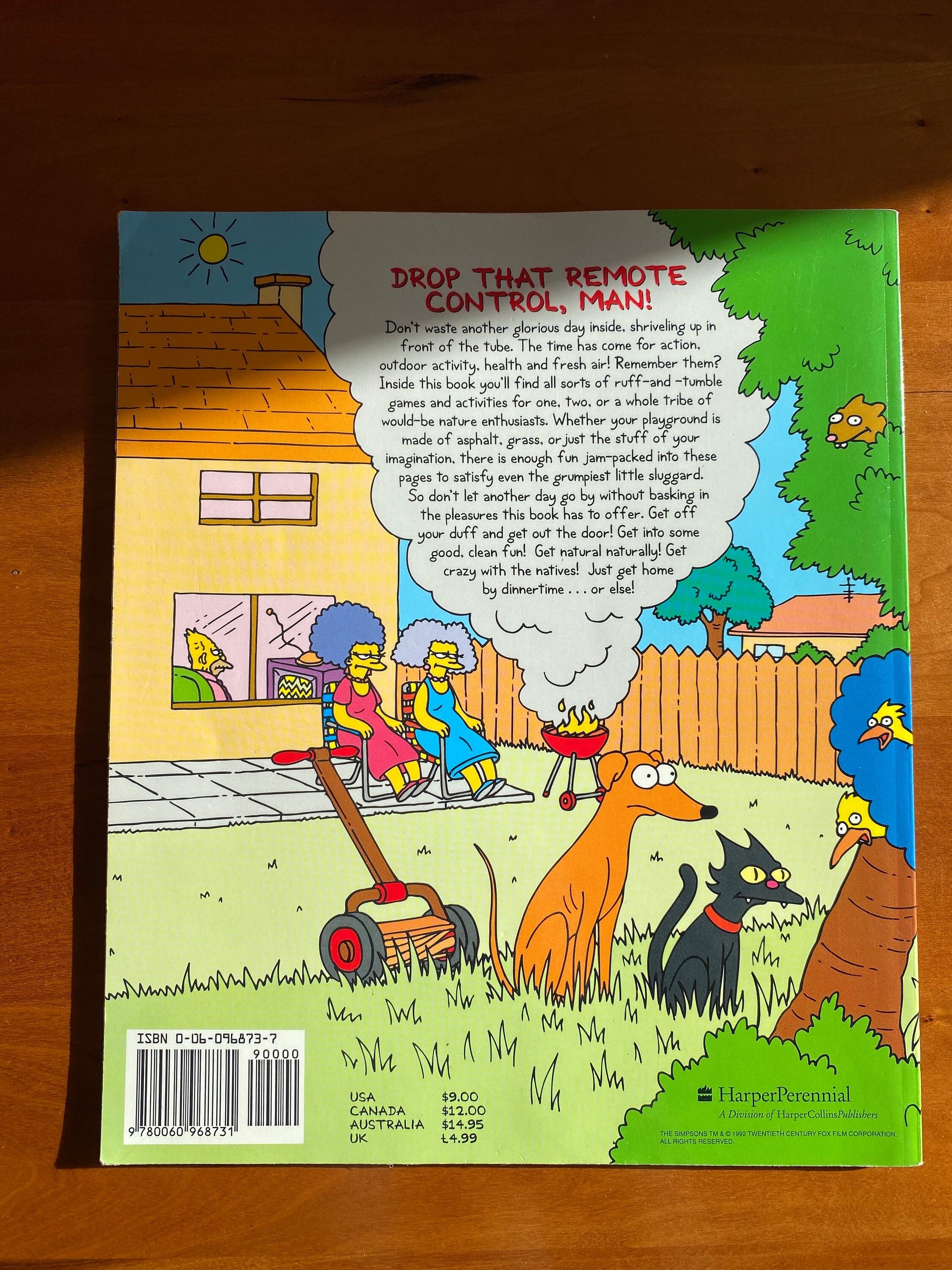 The Simpsons Fun in the Sun Book - 1992 Harper Perennial - Like New - Etsy