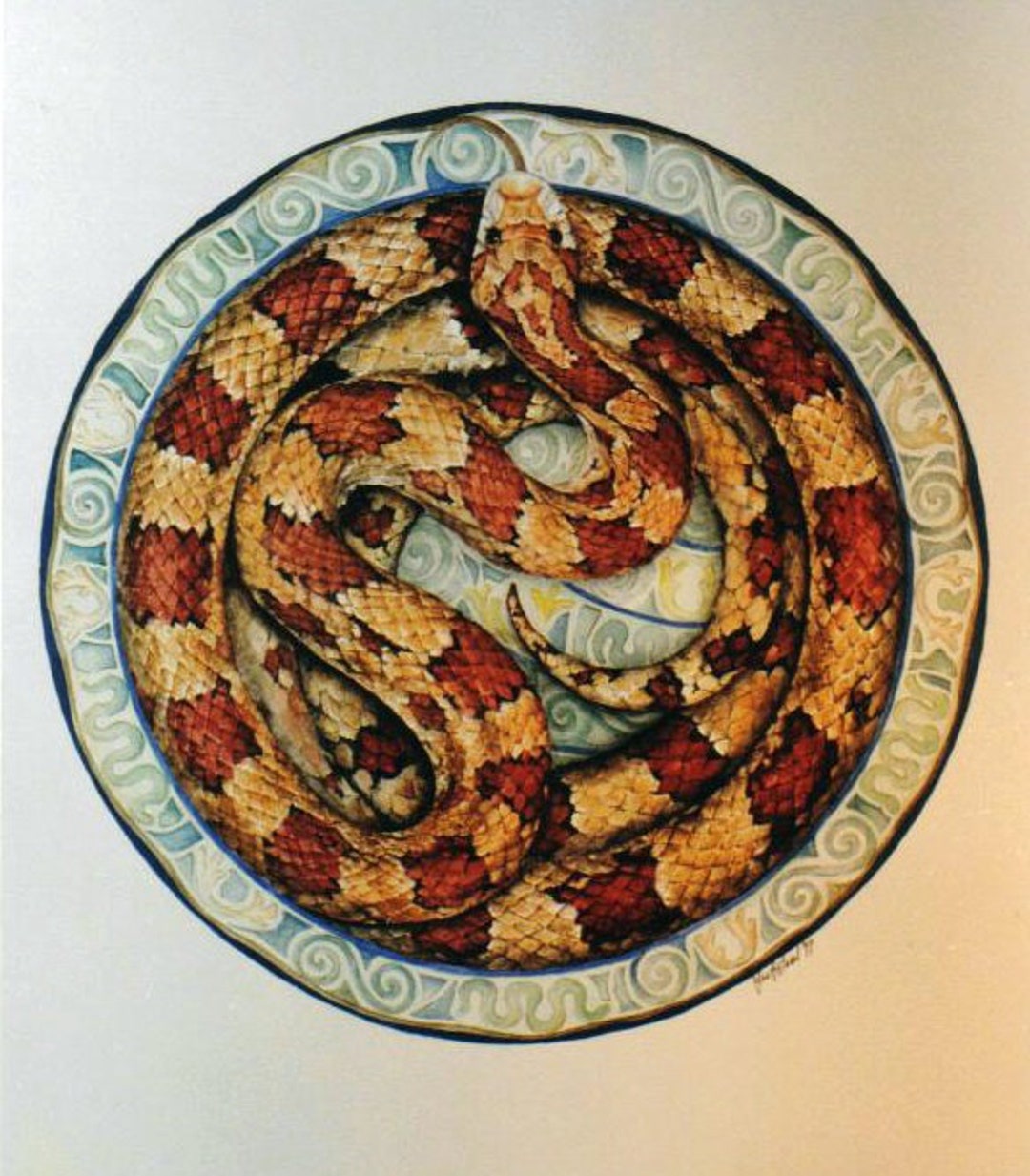 Rebirth Original Framed Snake Watercolour Study - Etsy