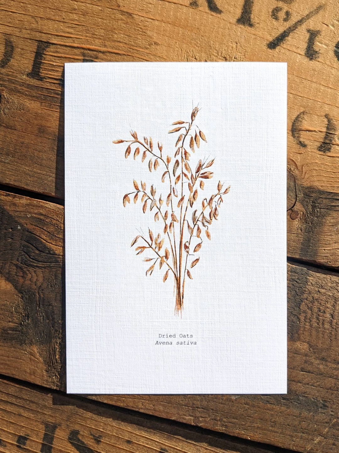 Dried Oats Watercolor Print | 4”x6” Signed Archival Quality Fine Art ...