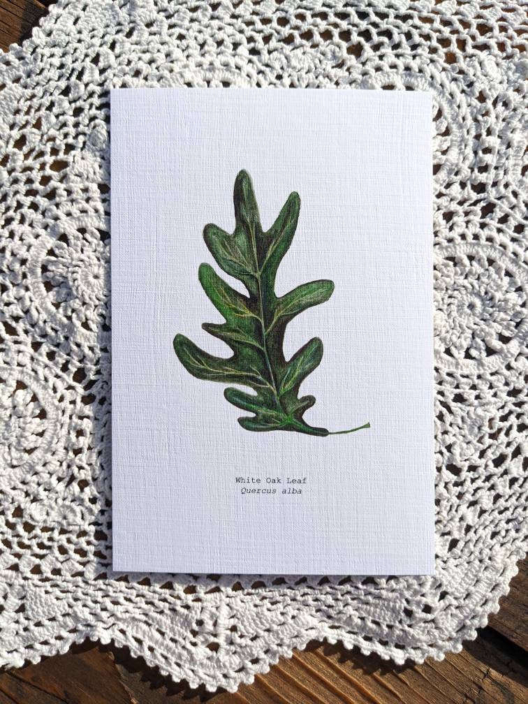 Oak Leaf Watercolor Print 4x6 Signed Archival Quality Fine Art Print ...