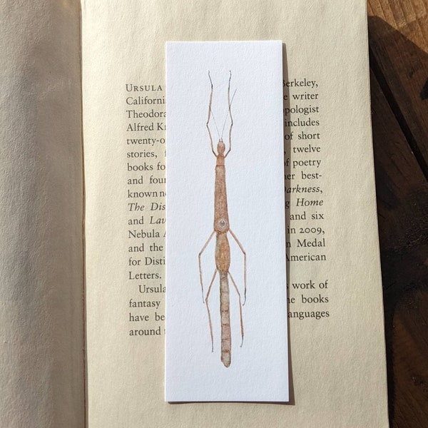Stick Bug - Etsy