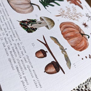 Autumn Harvest Watercolor Print | 8"x10" Signed Archival Quality Fine ...