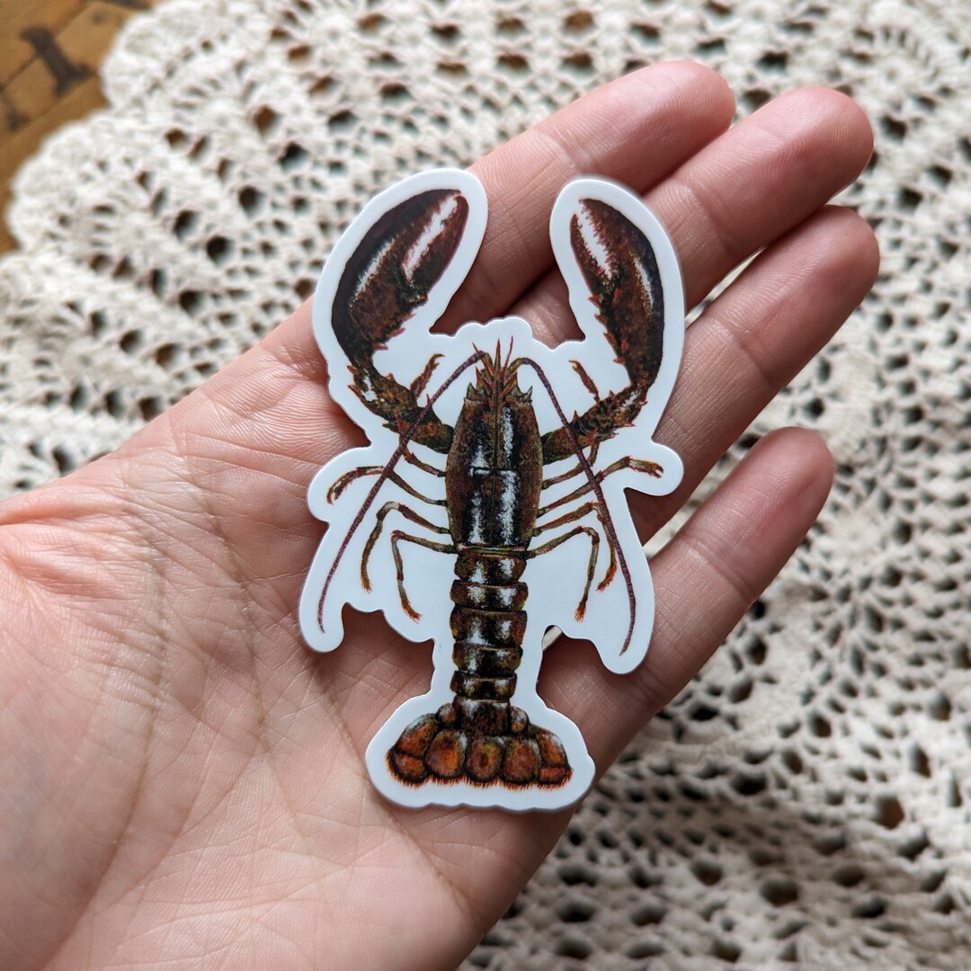 American Lobster Sticker Dishwasher Safe, Matte Finish, Die Cut Vinyl ...