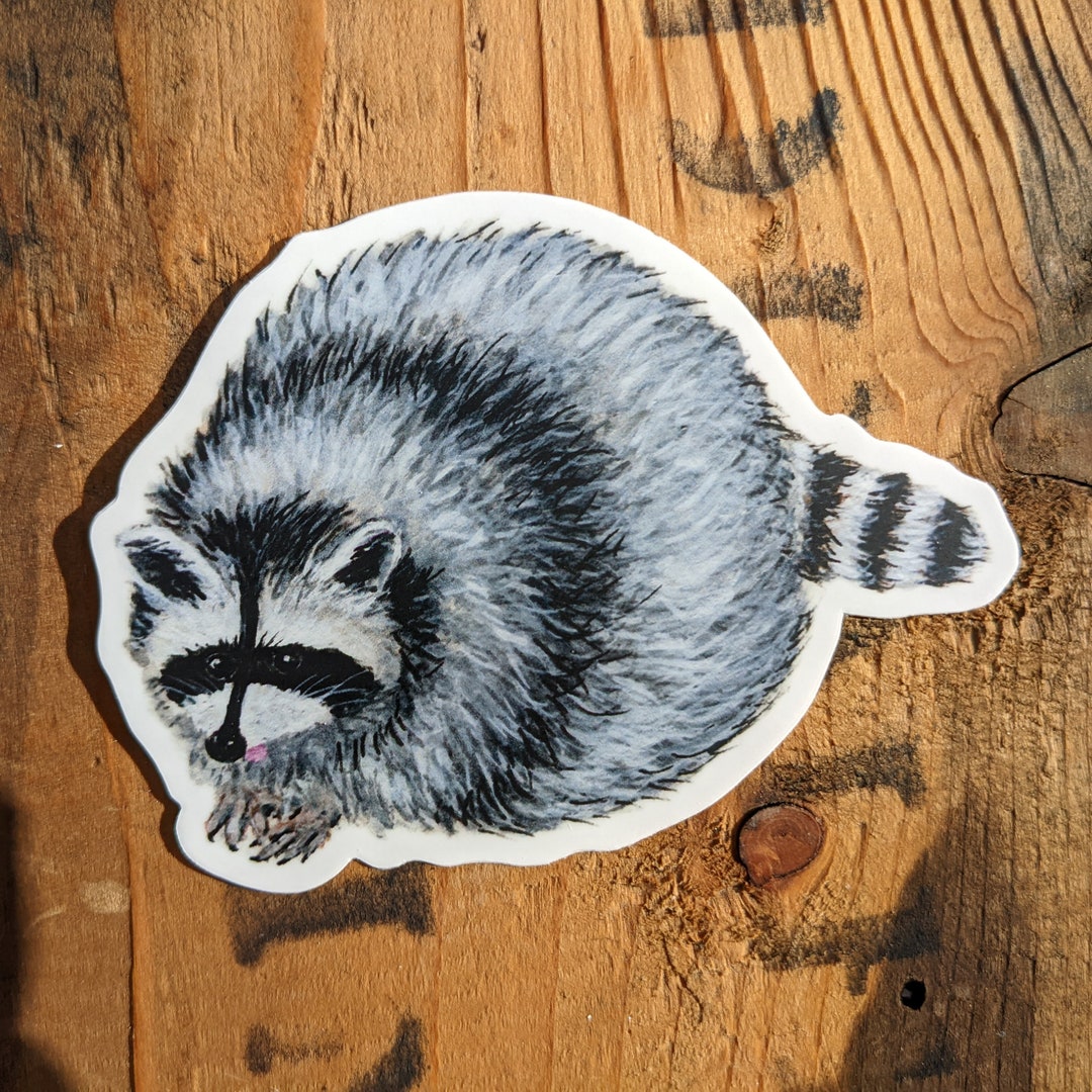 Rebecca the Raccoon Sticker | Dishwasher Safe, Matte Finish, Die Cut ...