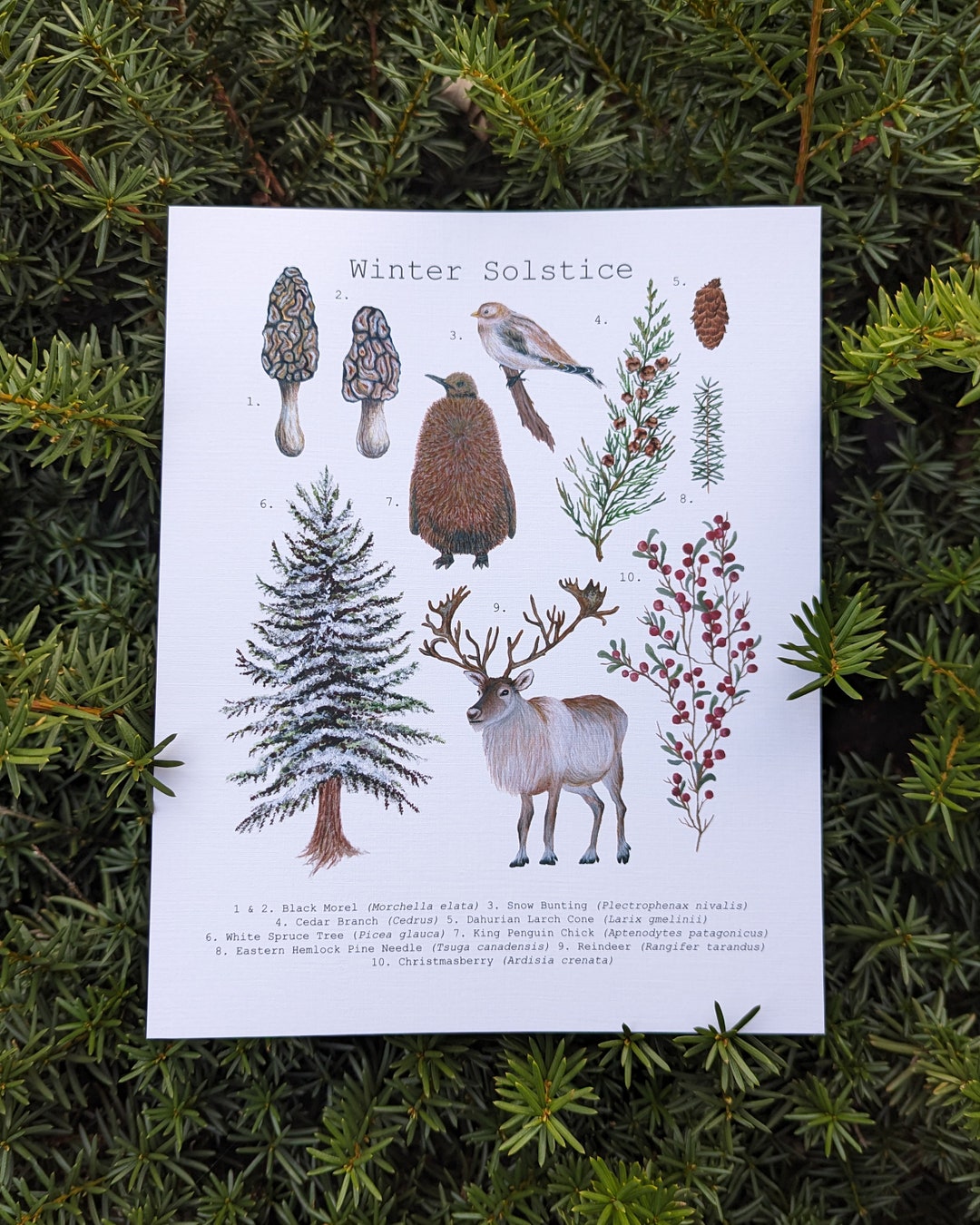 Winter Solstice Watercolor Print | 8"x10" Signed Archival Quality Fine Art Print, River Linen ...