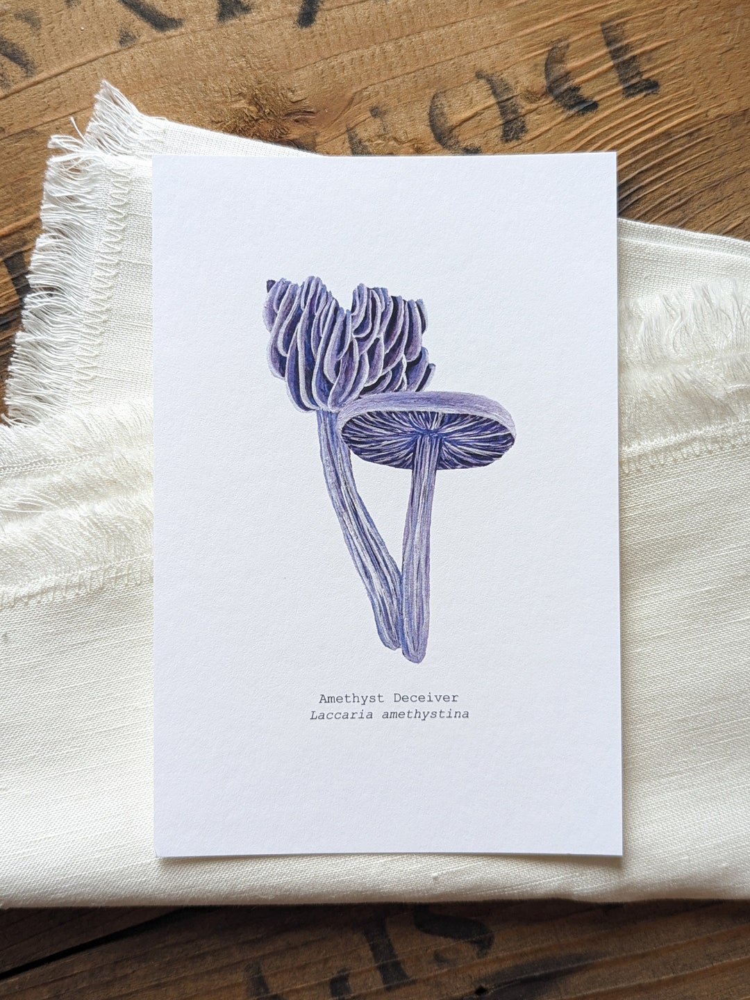 Amethyst Deceiver Mushroom Watercolor Print | 4"x6" Signed Archival ...