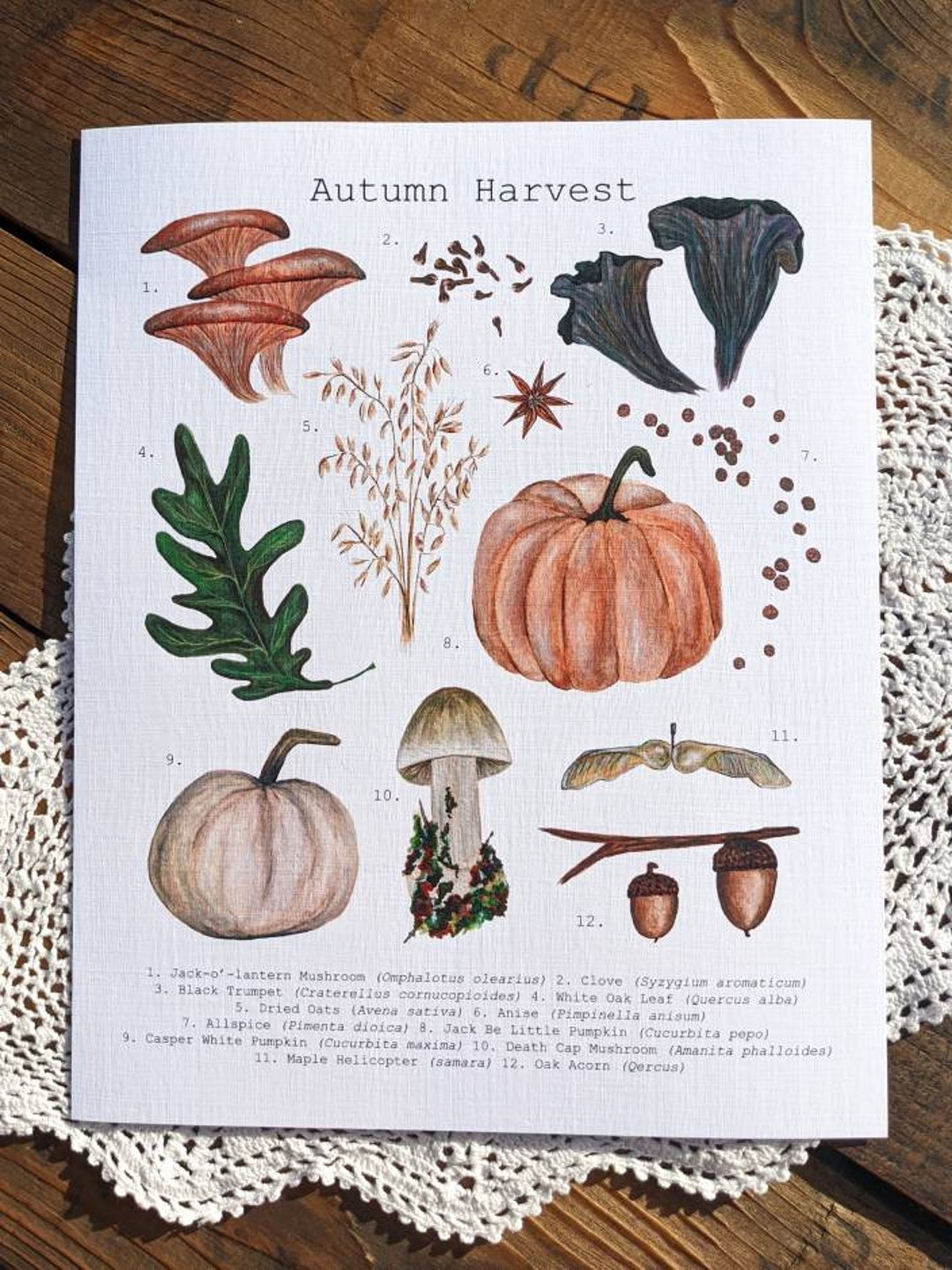 Autumn Harvest Watercolor Print | 8"x10" Signed Archival Quality Fine ...