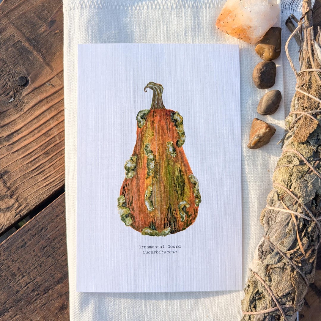 Gourd Watercolor Print 4x6 Signed Archival Quality Fine Art Print ...