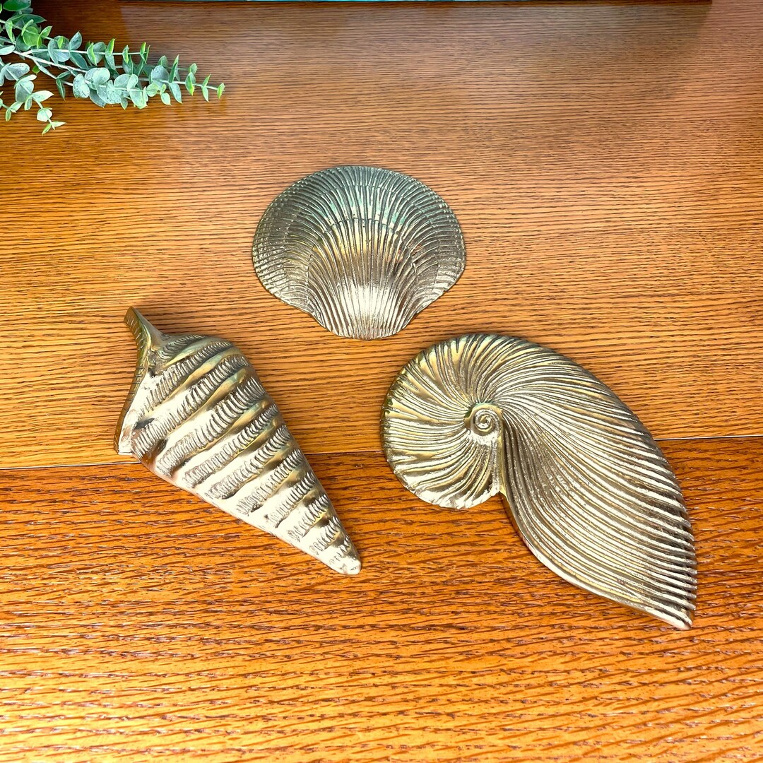 Vintage Brass Seashells ~ Set of 3 ~ Scallop Shell, Nautilus, and Cone ...