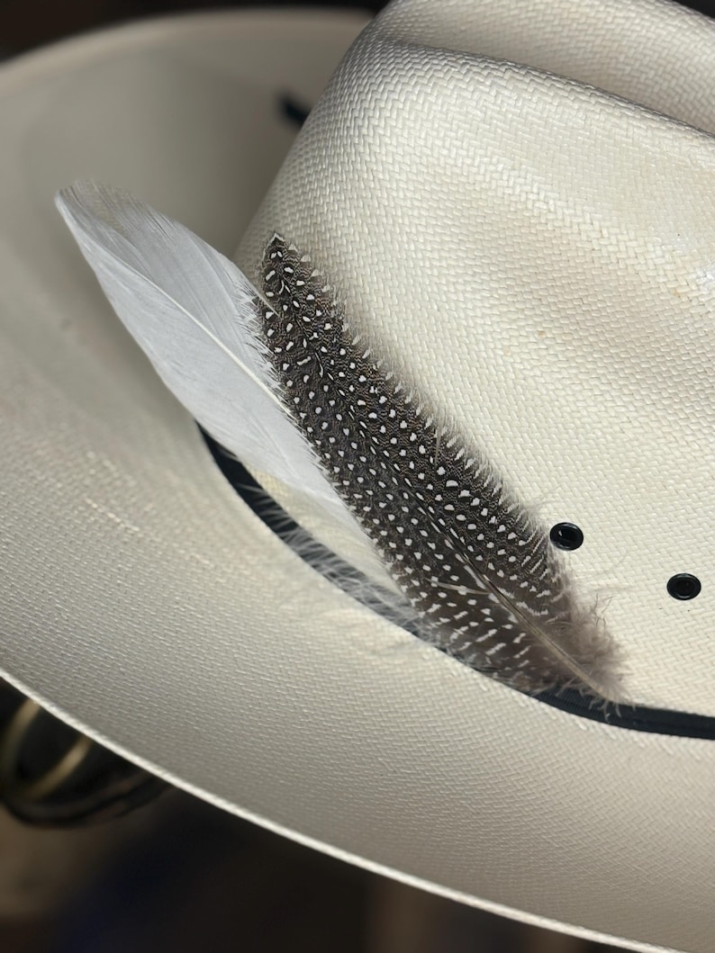 Hat Band Feathers: Stunning Turkey Feathers for Hats & Craft Projects ...