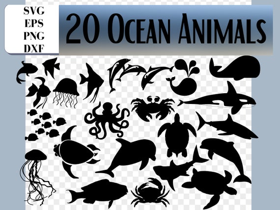 20 Ocean Animal Files Digital Download SVG Eps Dxf Png | Etsy