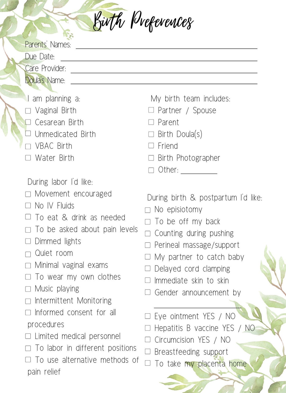 Birth Plan Birth Preferences Template - Etsy