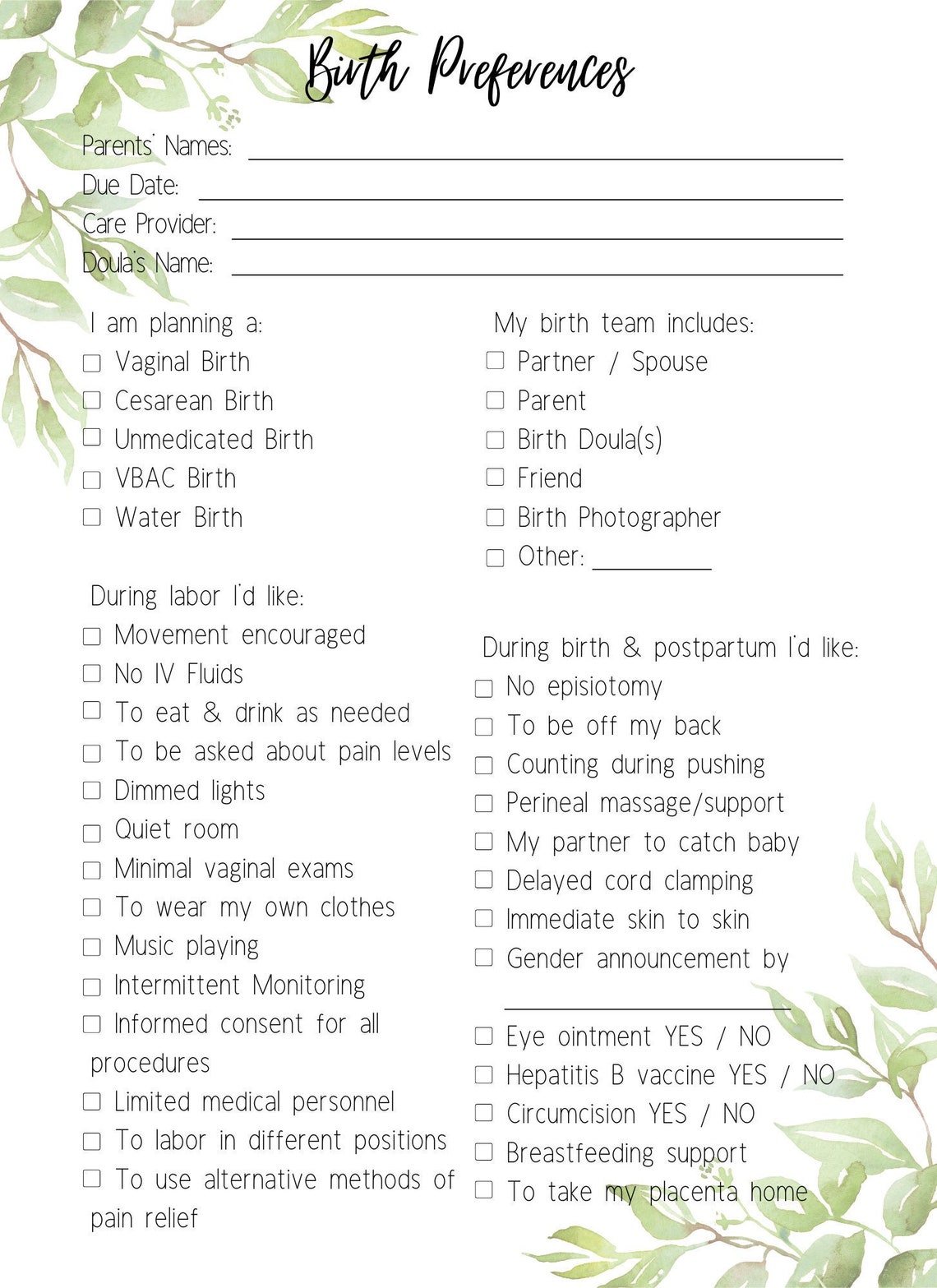 Birth Plan Birth Preferences Template - Etsy