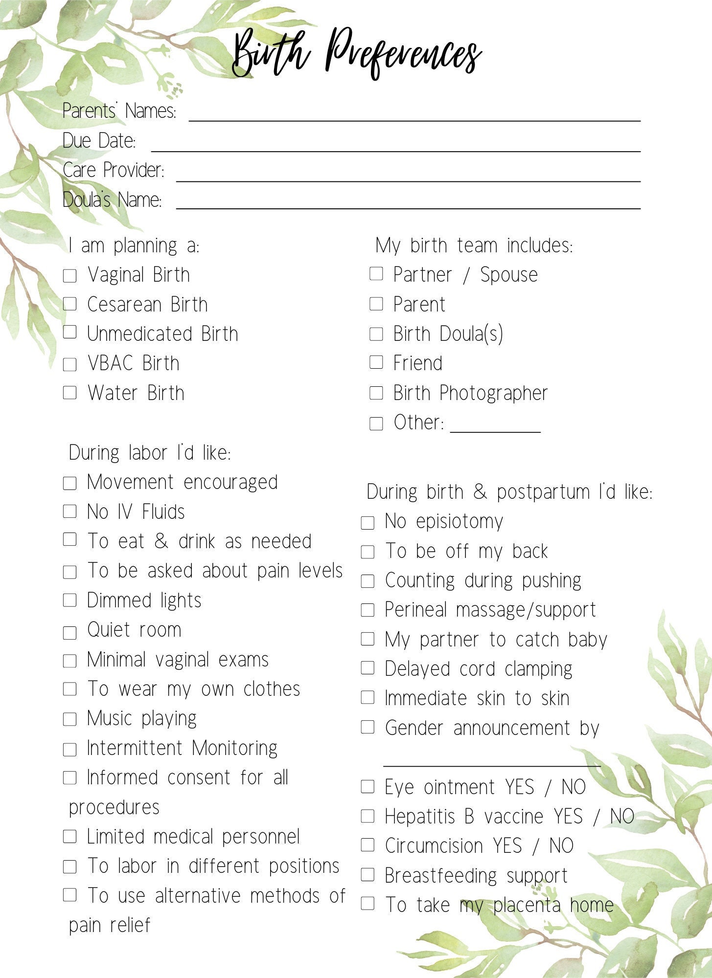 Birth Plan Birth Preferences Template - Etsy