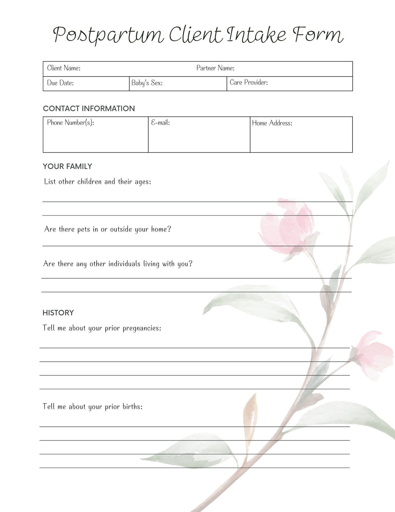 Postpartum Doula Client Intake Form - Etsy