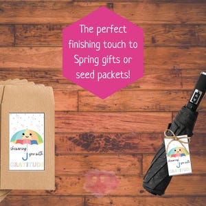 Showering You With Gratitude Gift Tag | Rainbow Umbrella Spring Craft ...