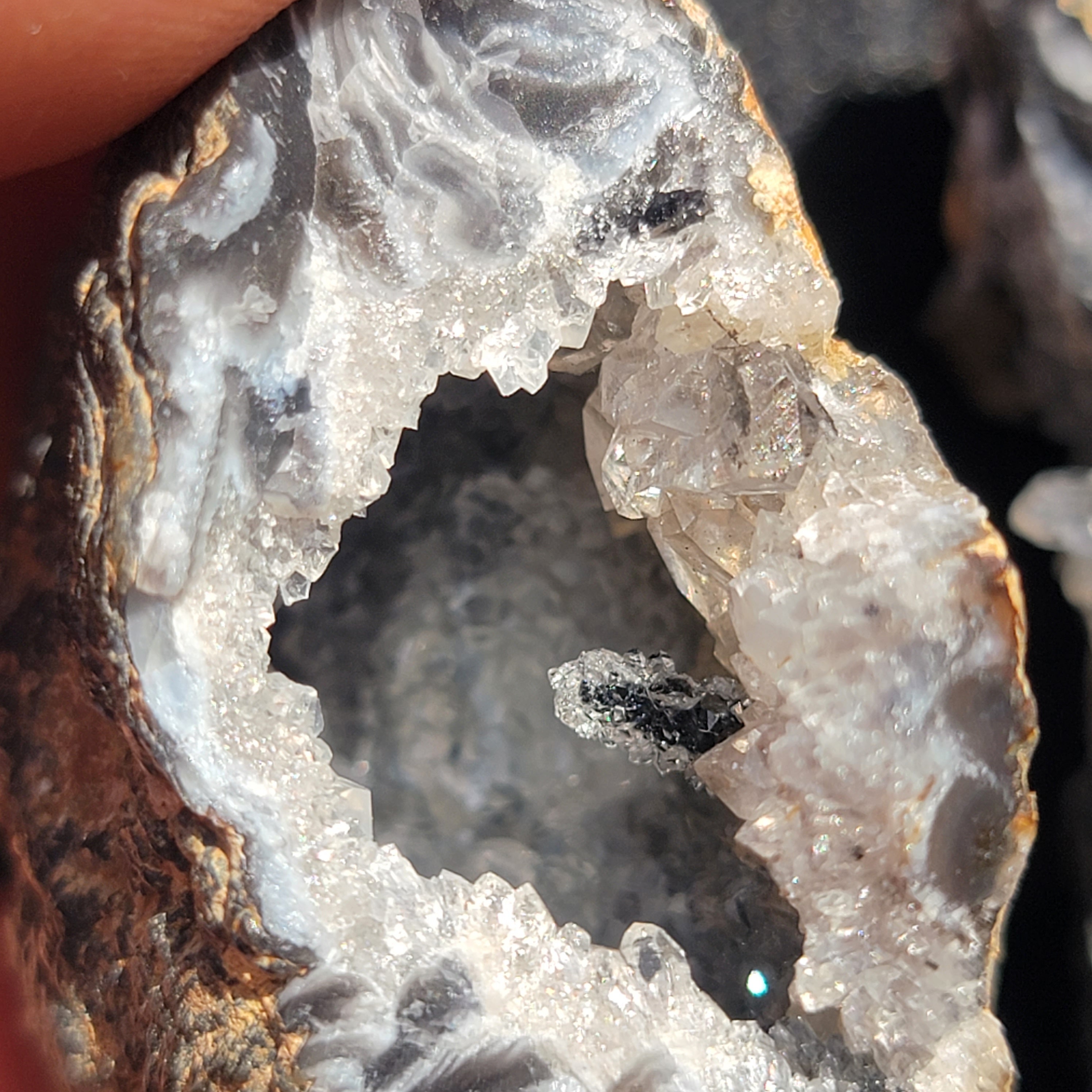 Quartz clam Geode With Perfect Quartz Covered - Etsy