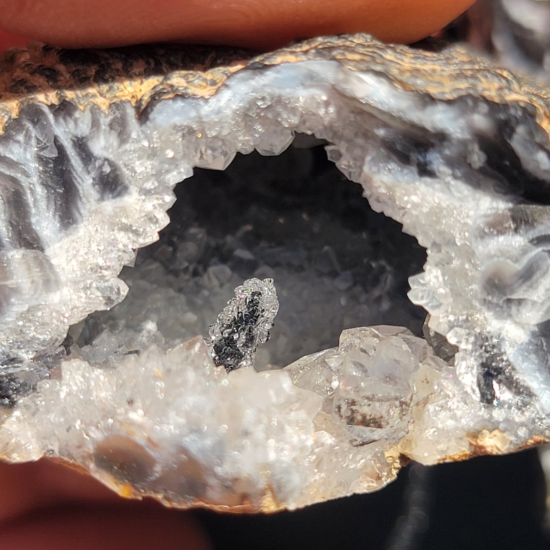 Quartz clam Geode With Perfect Quartz Covered Ramsdelight - Etsy