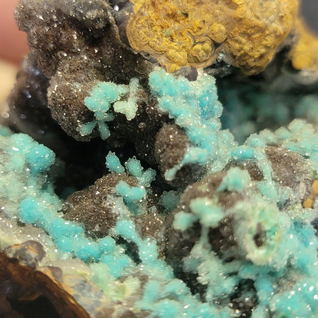 Chrysocolla Druzy Quartz on Acicular Chrysocolla Stunning Cabinet From ...