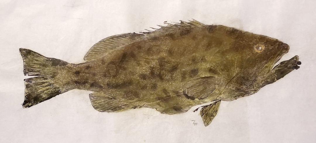 Grouper Fish Print, Colored - Etsy