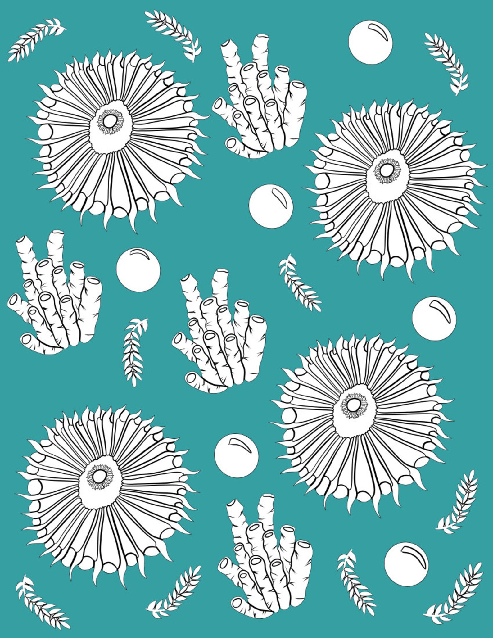 Coral Printable Coloring Page - Etsy