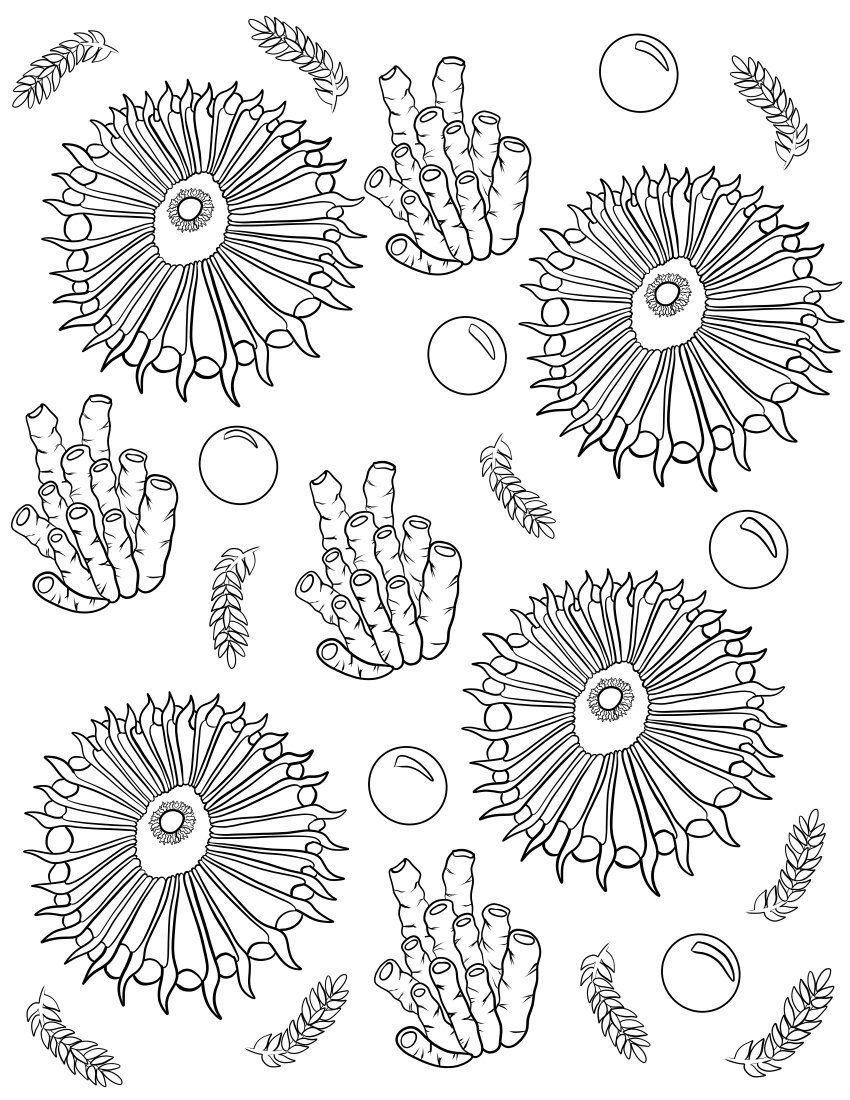 Coral Printable Coloring Page - Etsy