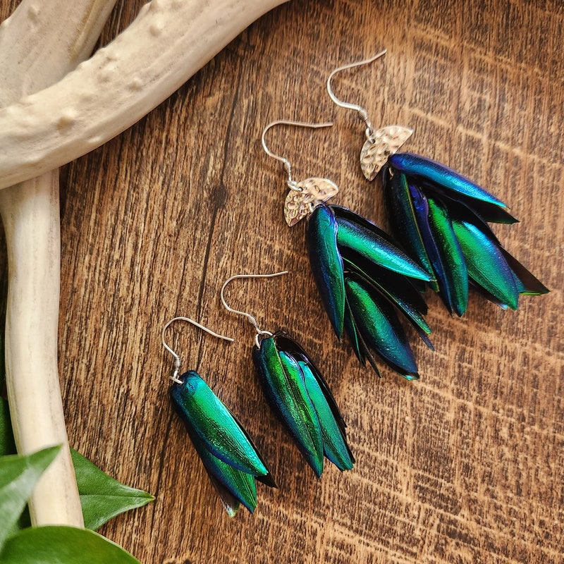 Beetle Wings - Etsy