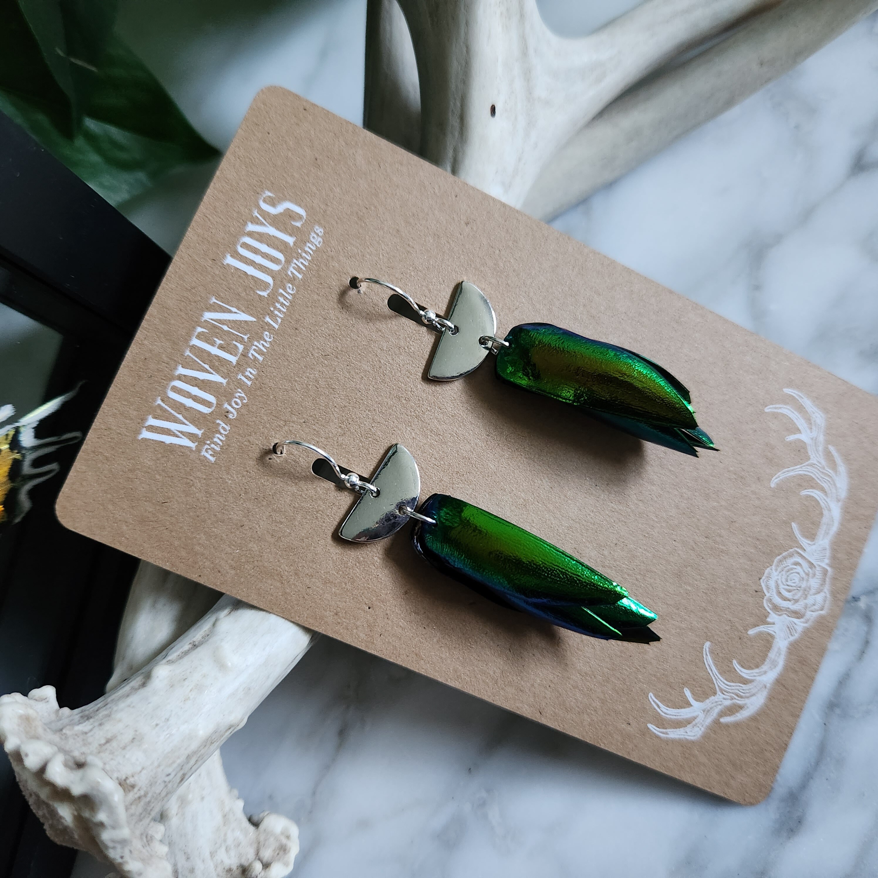 Real Elytra Beetle Wings Earrings/oddities/witchy/beetle Jewelry/boho ...