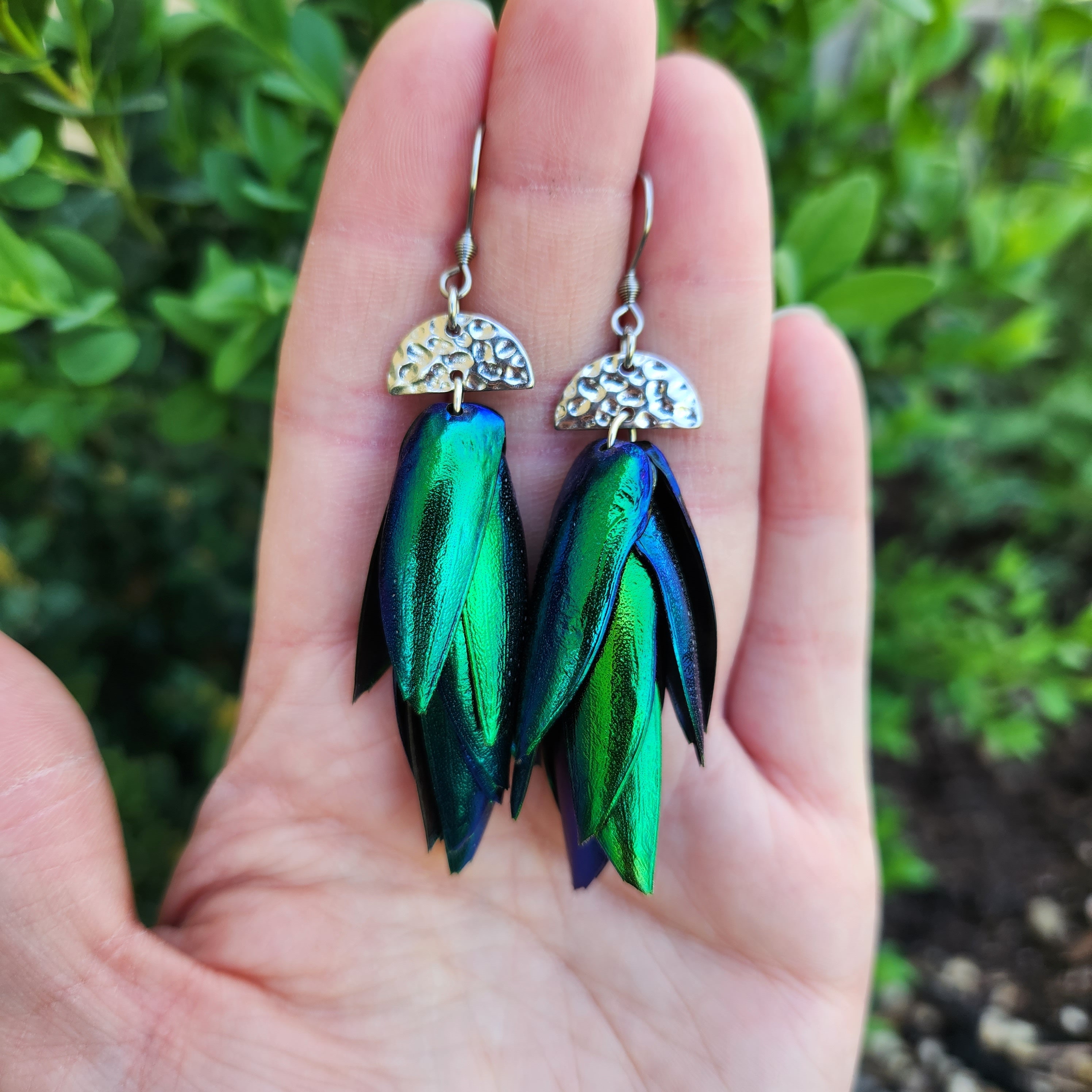 Real Elytra Beetle Wings Earrings Insect Wing Jewelry - Etsy
