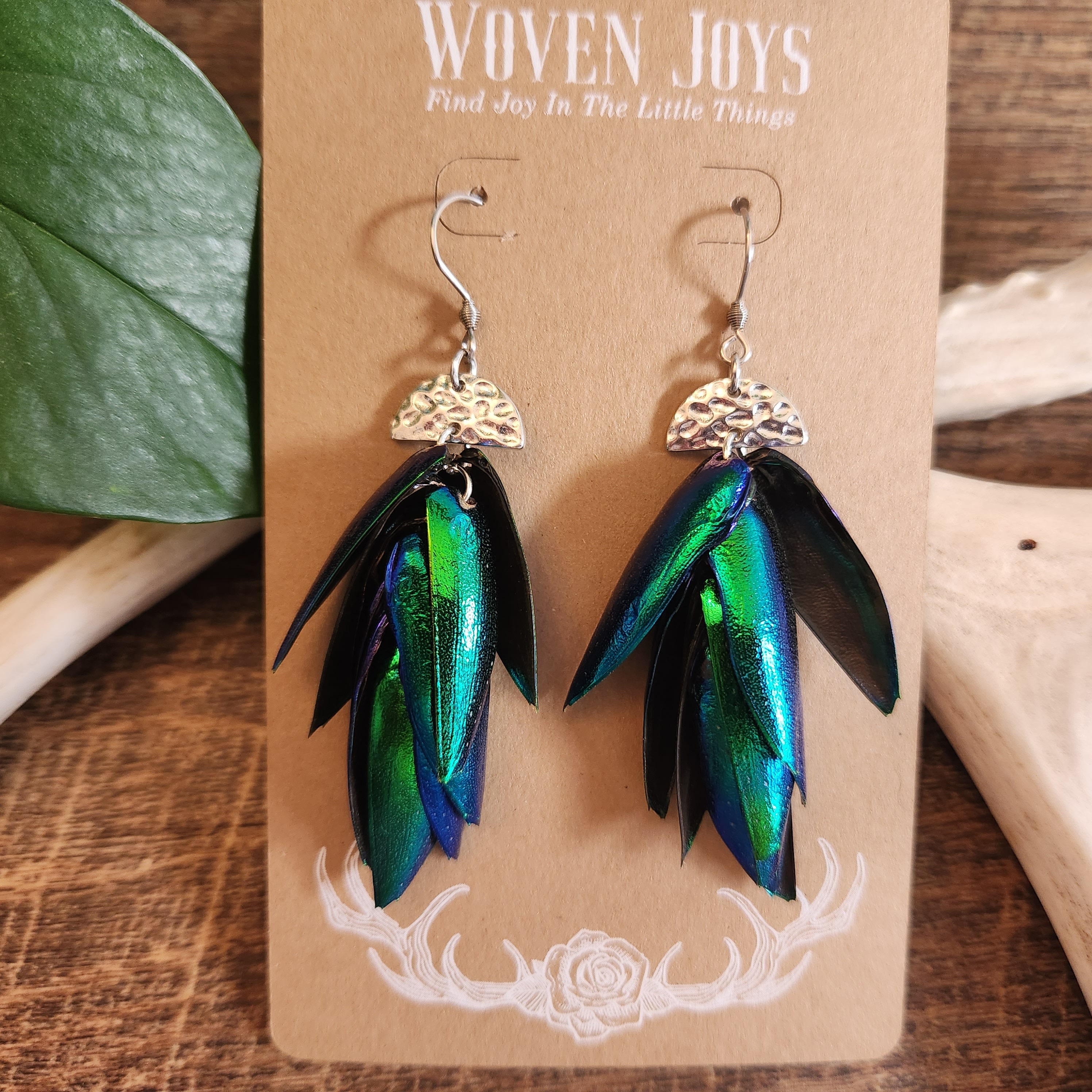 Real Elytra Beetle Wings Earrings Insect Wing Jewelry - Etsy