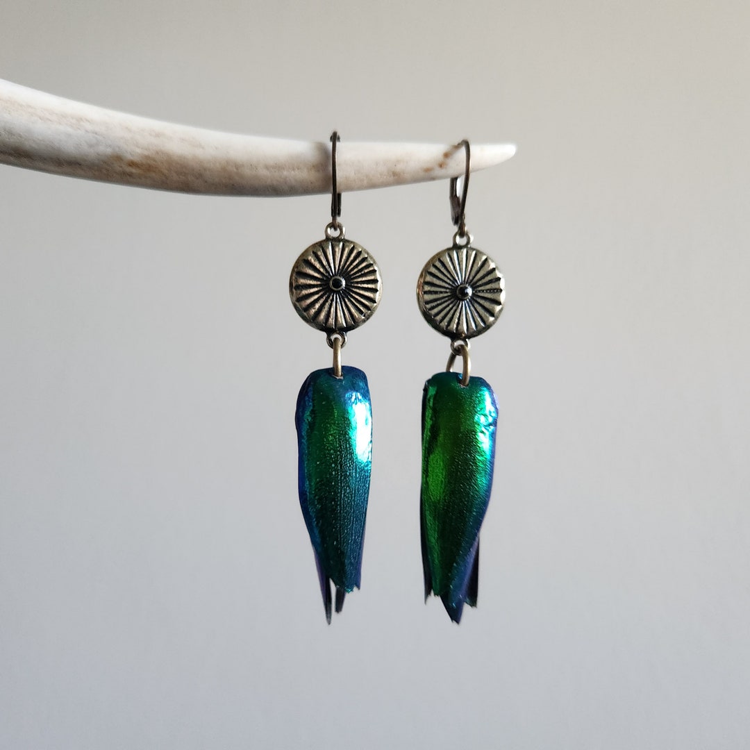 Real Elytra Beetle Wings Earrings/oddities/witchy/beetle Jewelry/boho ...