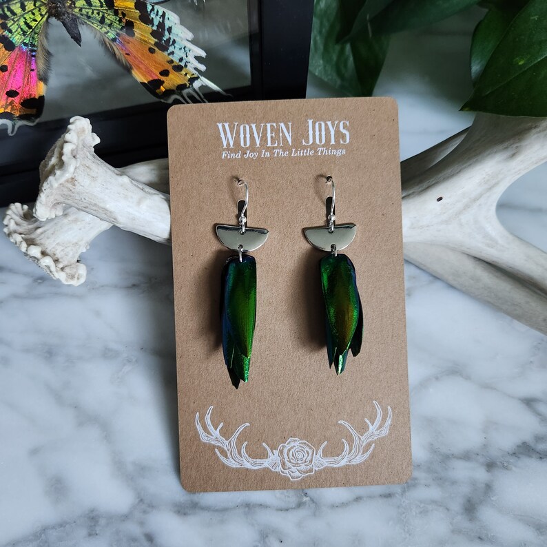 Real Elytra Beetle Wings Earrings/oddities/witchy/beetle Jewelry/boho ...
