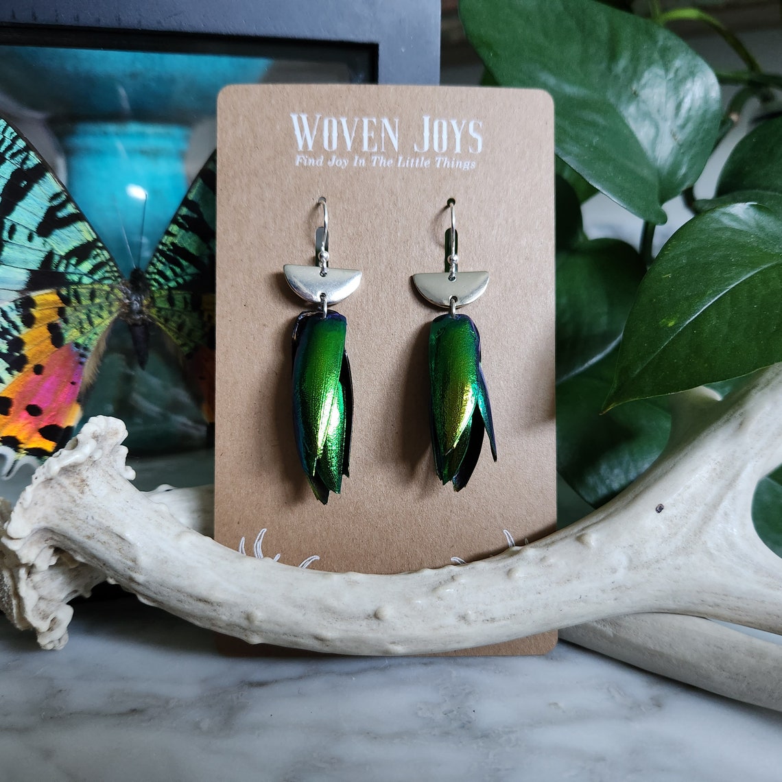 Real Elytra Beetle Wings Earrings/oddities/witchy/beetle Jewelry/boho ...