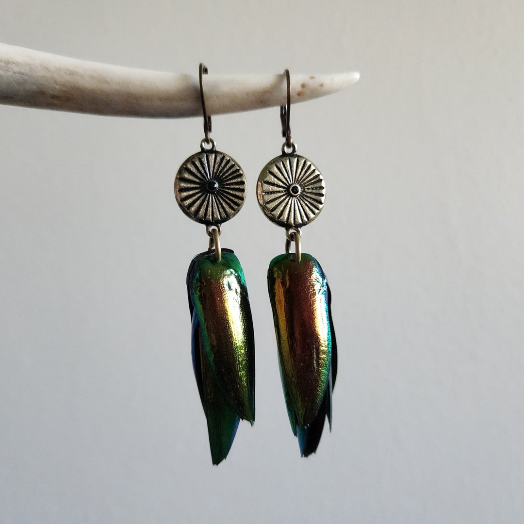 Real Elytra Beetle Wings Earrings/oddities/witchy/beetle Jewelry/boho ...