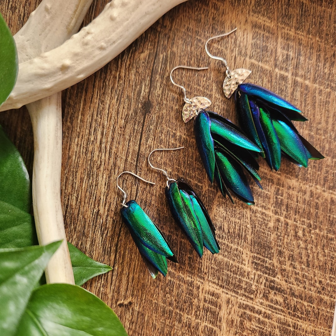 Real Elytra Beetle Wings Earrings, Insect Wing Jewelry, Handmade - Etsy
