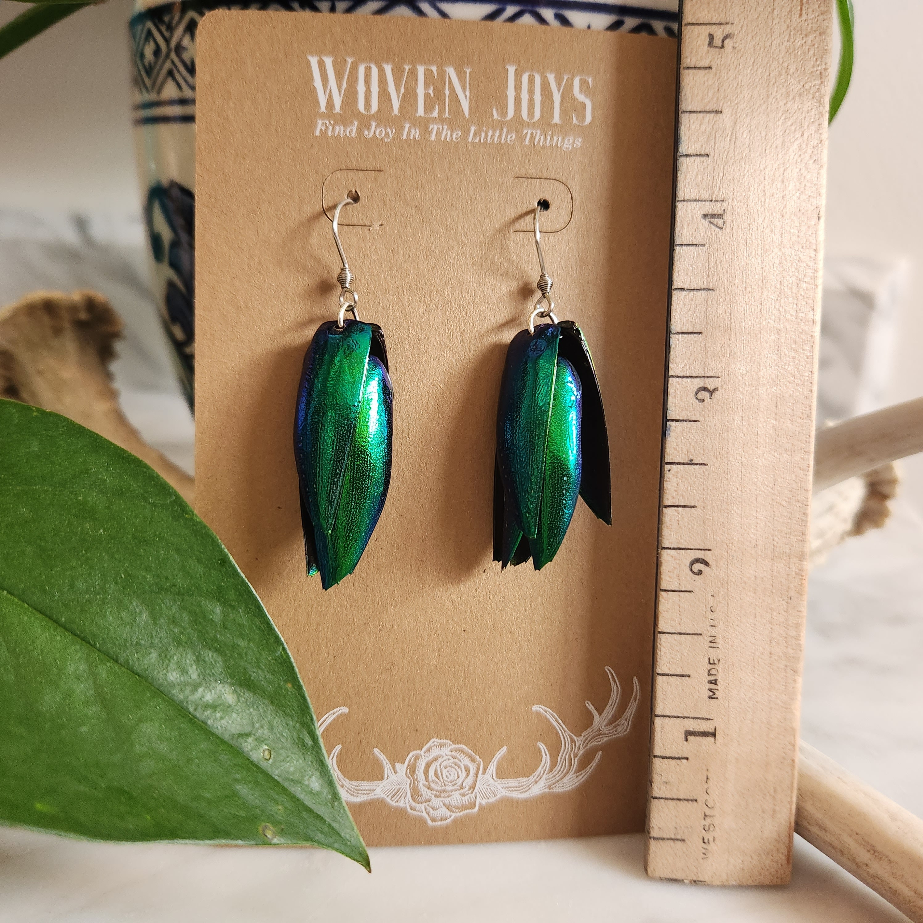 Real Elytra Beetle Wings Earrings Insect Wing Jewelry - Etsy