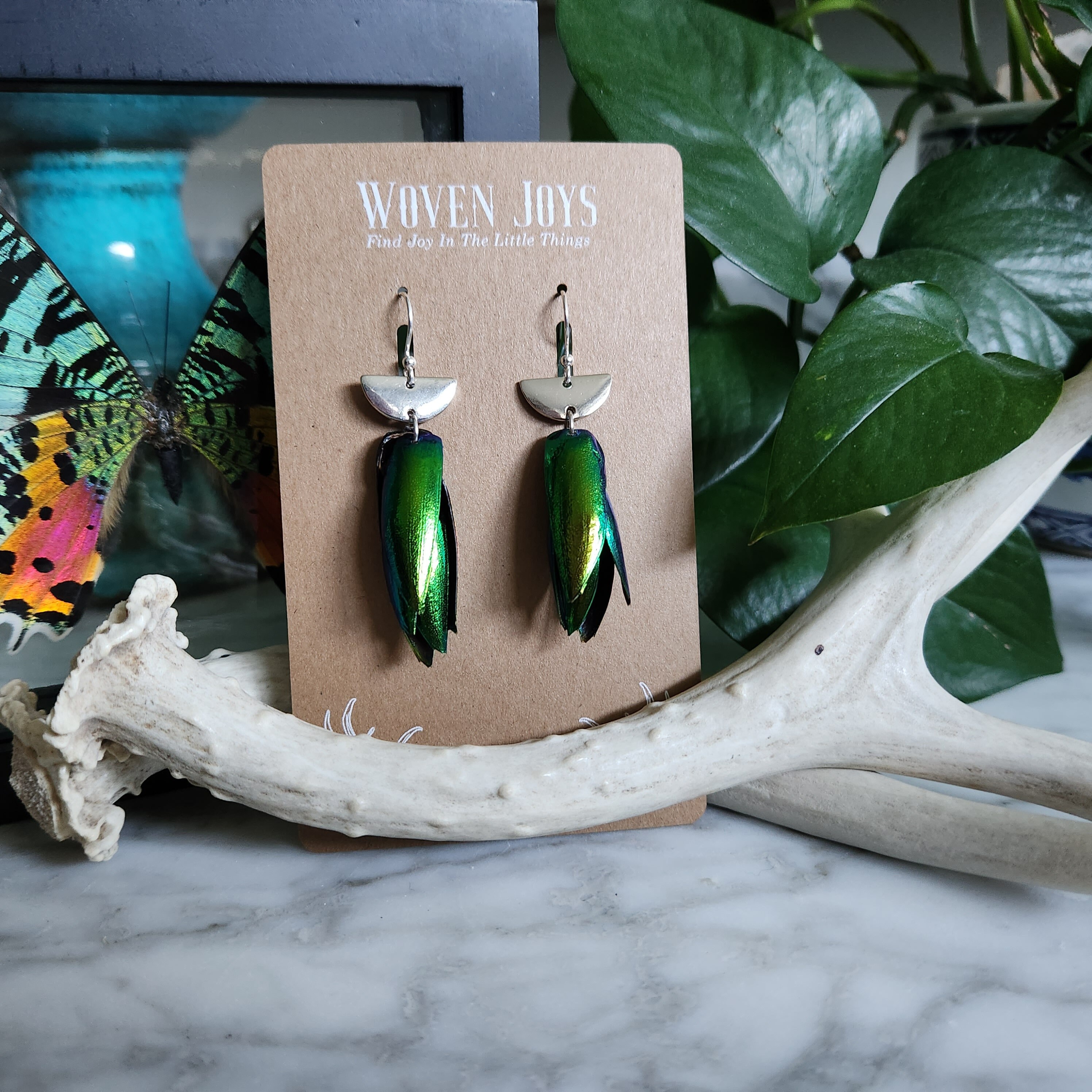 Real Elytra Beetle Wings Earrings/oddities/witchy/beetle Jewelry/boho ...
