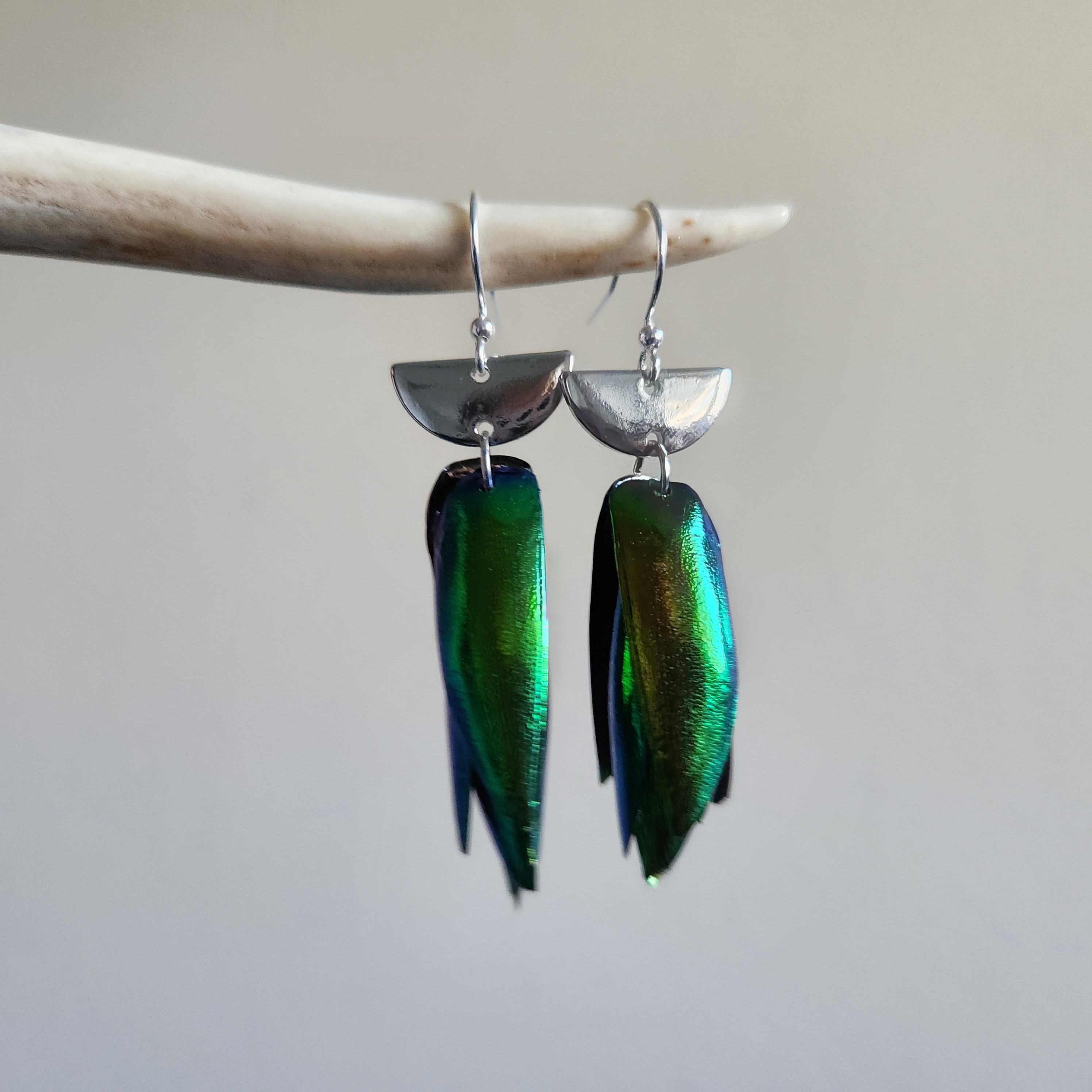Real Elytra Beetle Wings Earrings/oddities/witchy/beetle Jewelry/boho ...